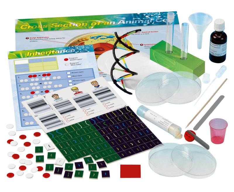 Genetics and DNA Experiment Kit